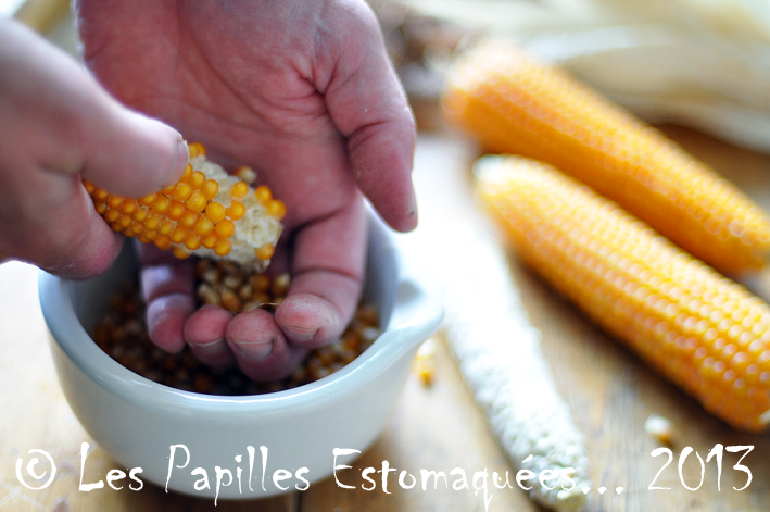 Mais pop corn 07 - Les Papilles Estomaquées...Les Papilles Estomaquées…