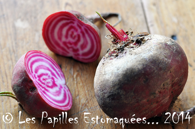 Betterave De Chioggia 01 - Les Papilles Estomaquées...Les Papilles ...