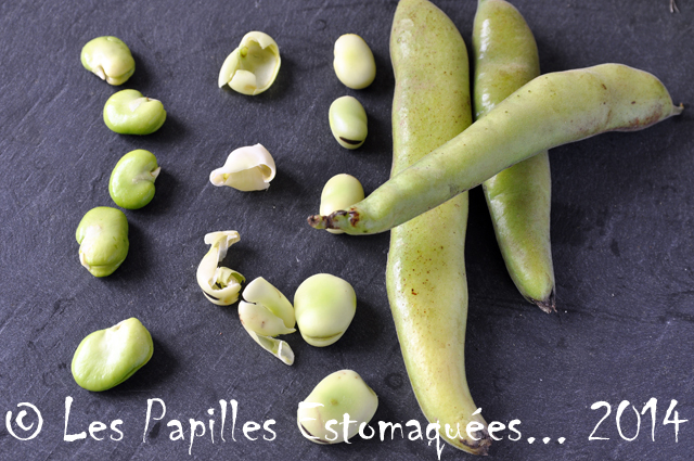 Feves ecossees 01 - Les Papilles Estomaquées...Les Papilles Estomaquées…